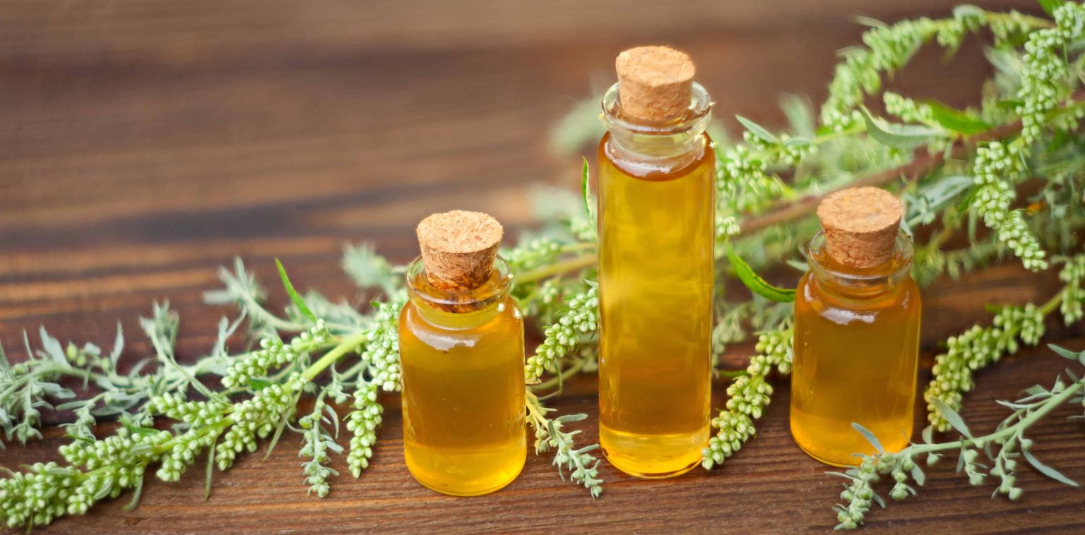 Melhor óleo corporal: Guia completo para comprar